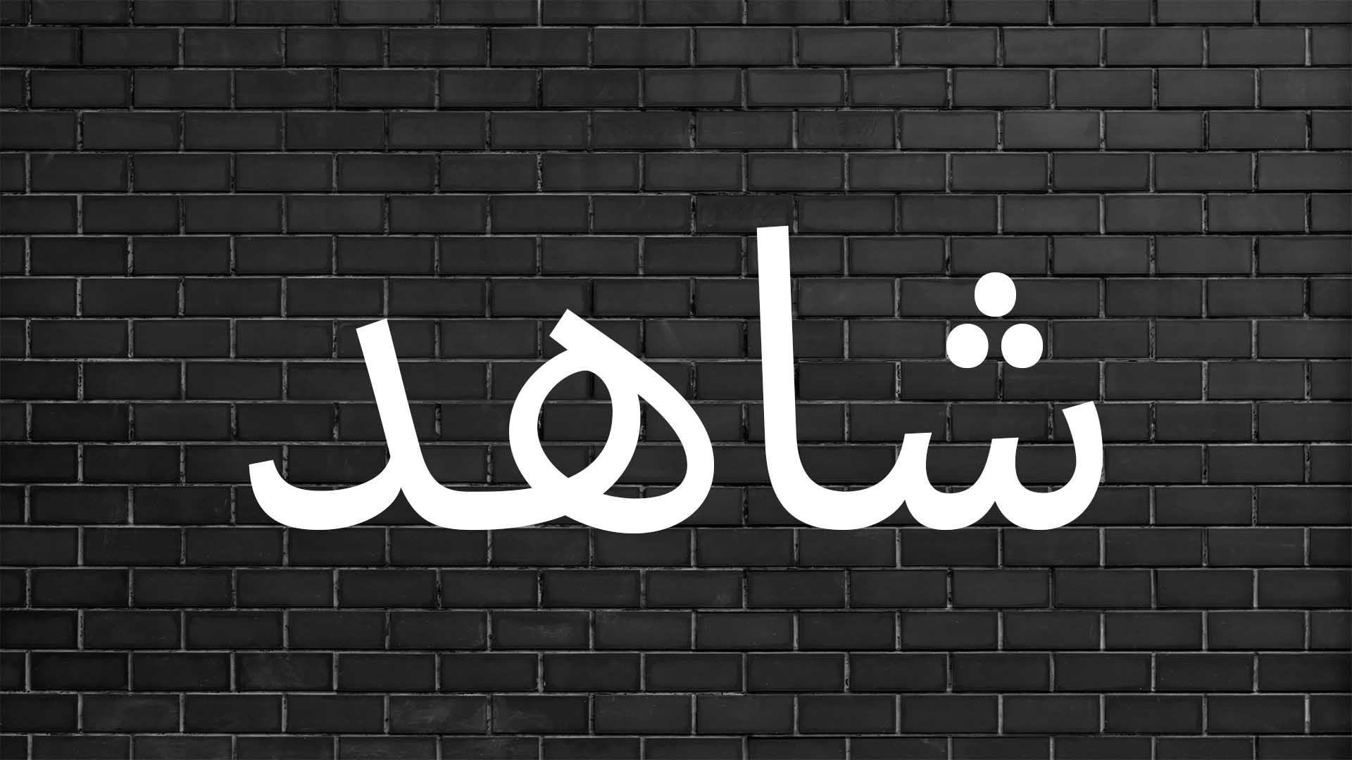 تطبيق شاهد دوت نت – مسلسلات الموسم